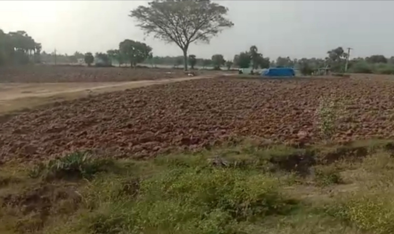 23 Acre Agricultural/Farm Land for Sale in Vandavasi, Tiruvannamalai