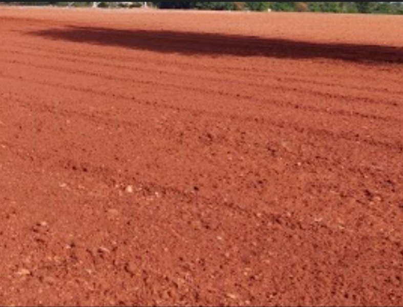 Agricultural/Farm Land for Sale in Thisayanvilai, Tirunelveli - by ...