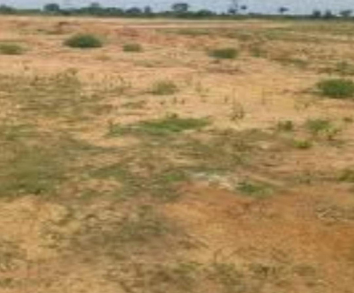 12 Acre Agricultural/Farm Land for Sale in Sivanthipuram, Tirunelveli ...